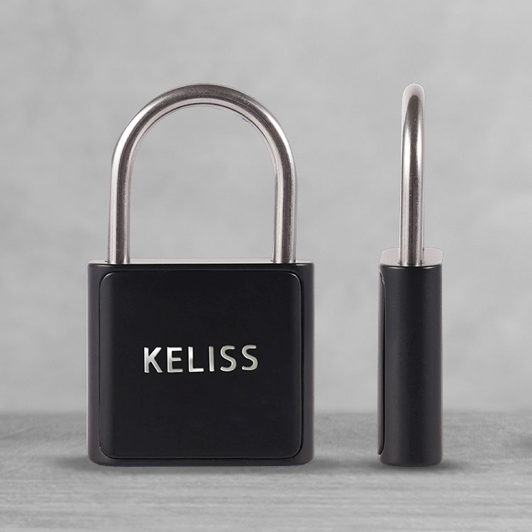 PT002 - Pathos Series | Smart Lock | | KELISS